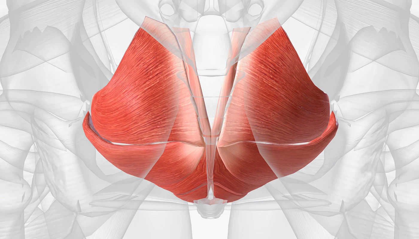 Weak Pelvic Floor
